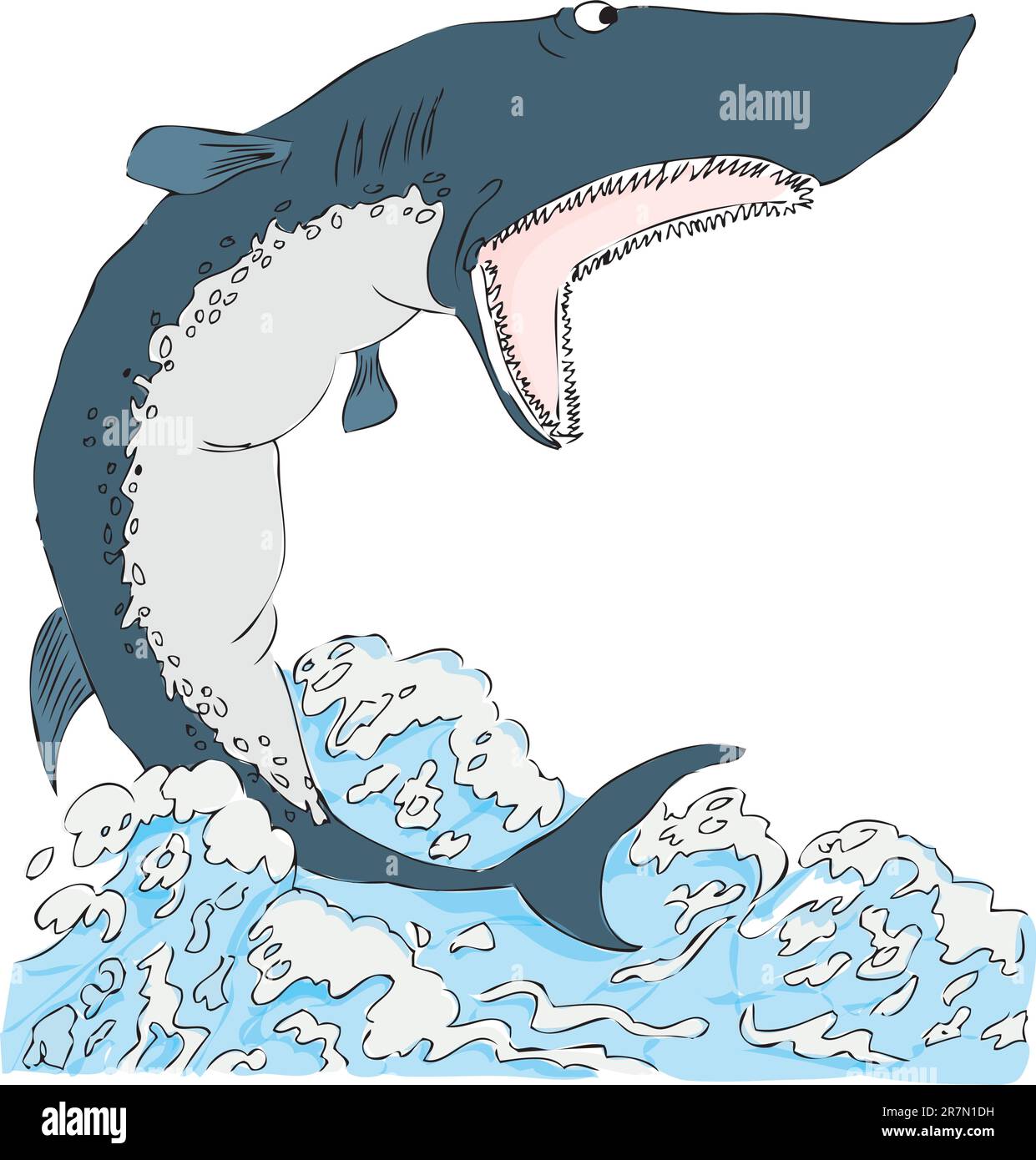 Shark with open mouth on the water surface. Vector illustration of the ...