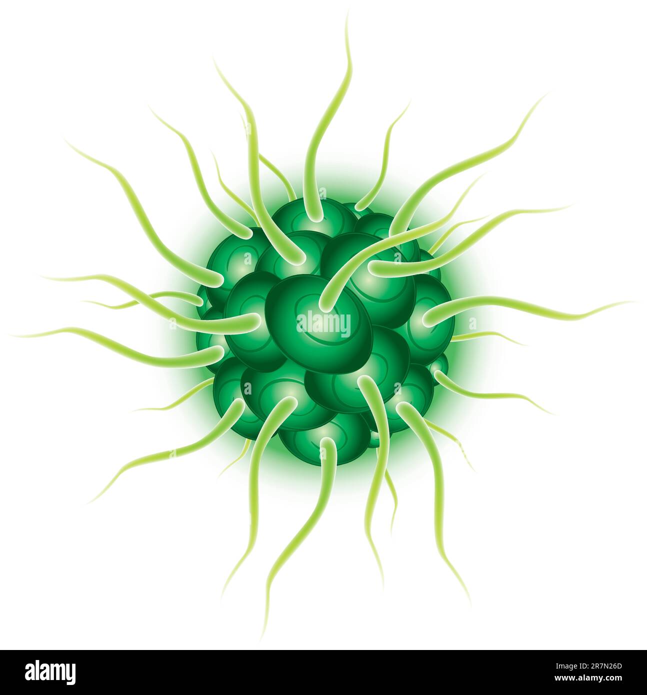 Flu virus isolated with clipping path. Vector illustration Stock Vector ...