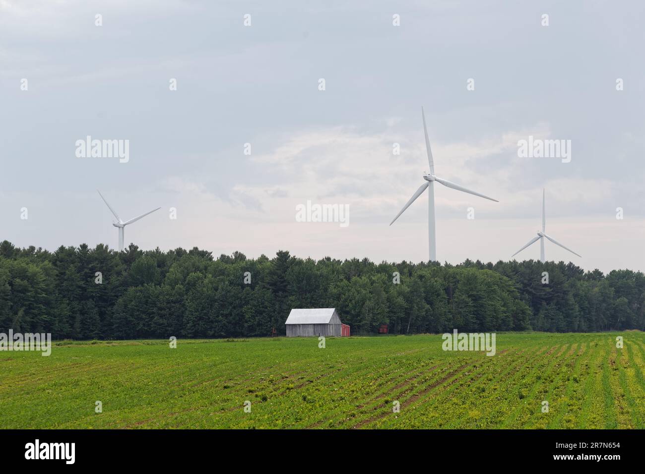 Wind turbine farm in Yamaska, Quebec, Canada Stock Photo - Alamy