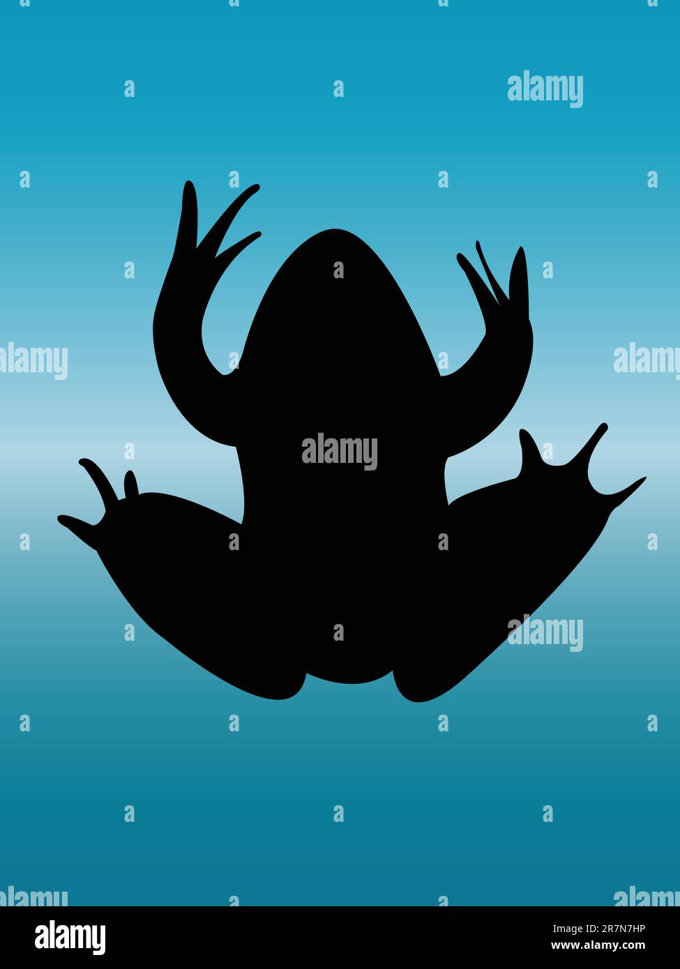 frogs collection silhouette - vector Stock Vector Image & Art - Alamy