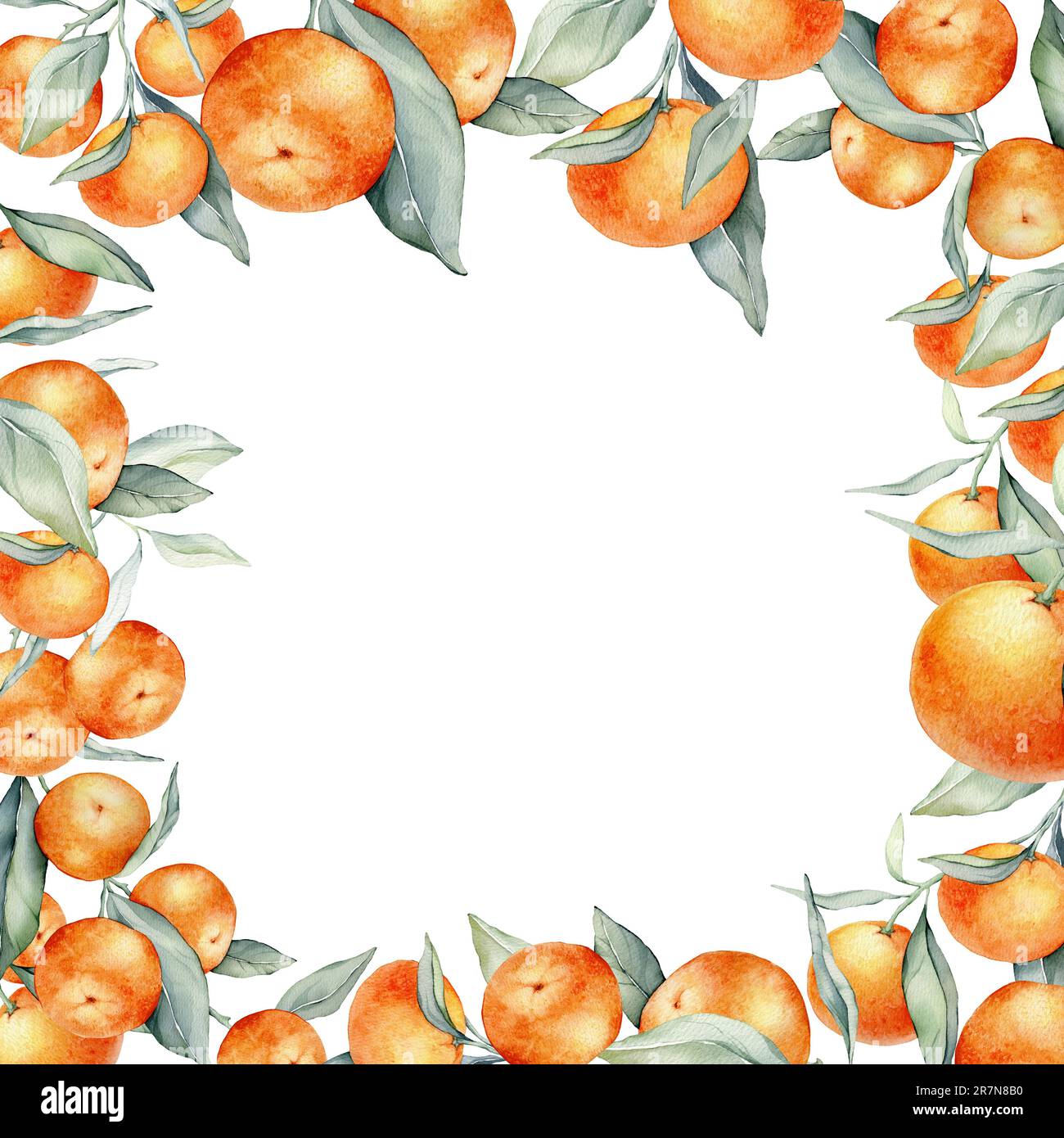 Frame with Orange Fruits. Hand drawn watercolor illustration of square ...