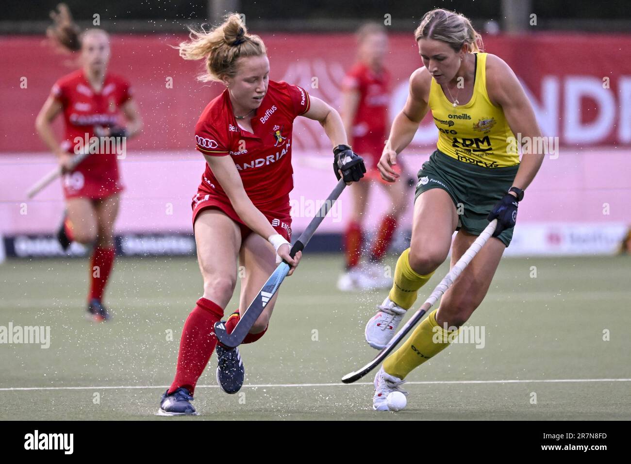 Colwill hi-res stock photography and images - Alamy