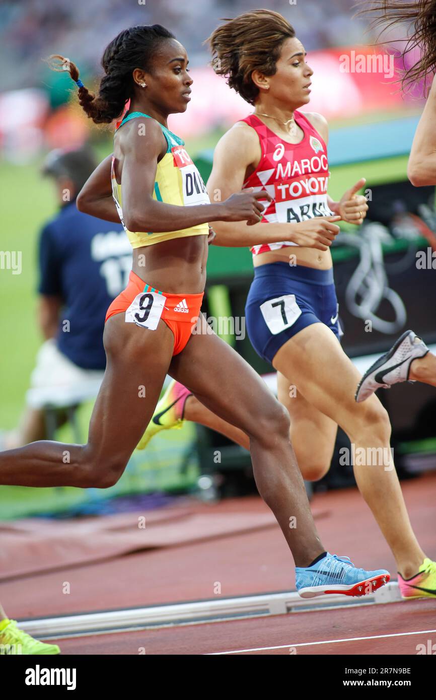 Genzebe Dibaba participating in the 1.500 m at the World Athletics ...