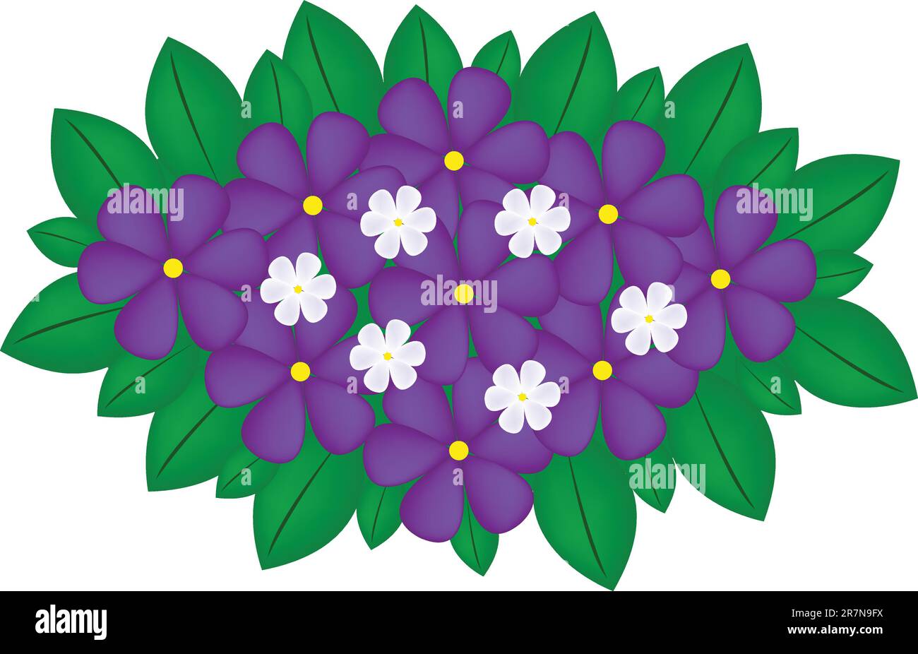 violet bouquet - vector Stock Vector Image & Art - Alamy