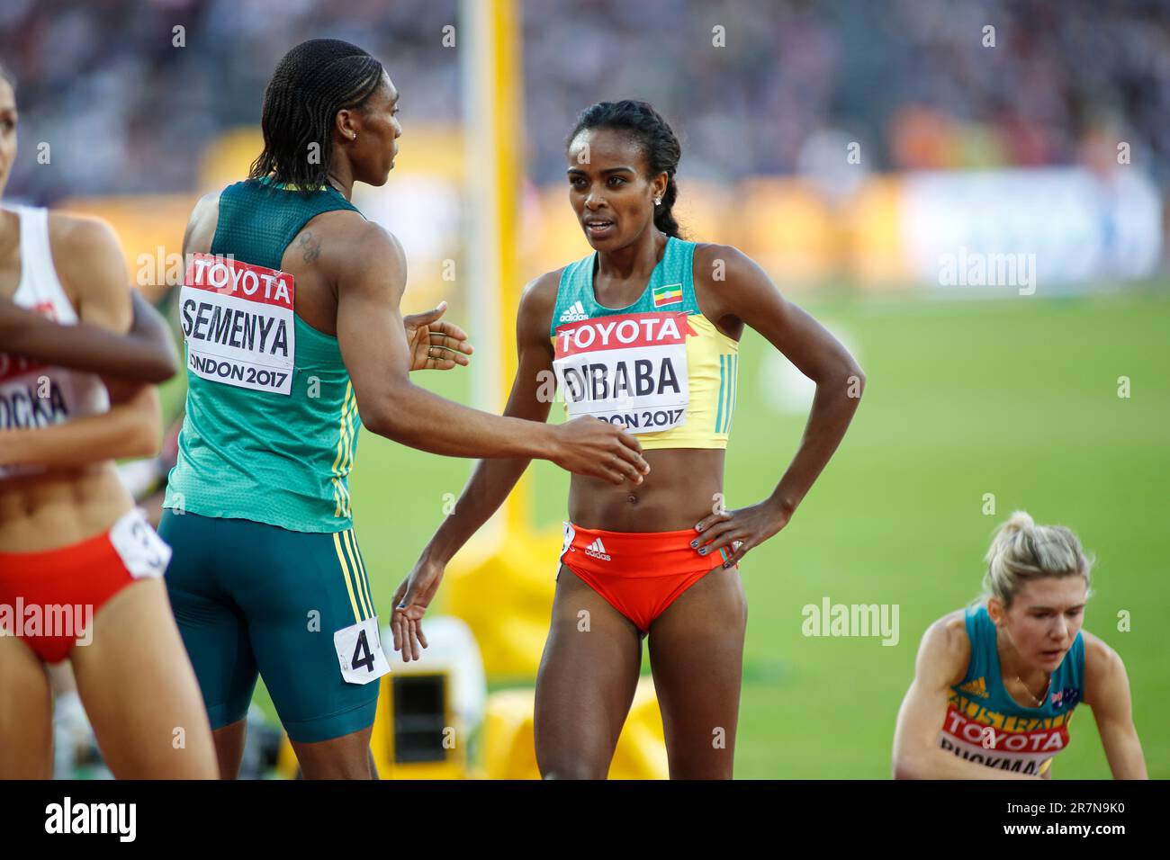 Genzebe Dibaba participating in the 1.500 m at the World Athletics ...