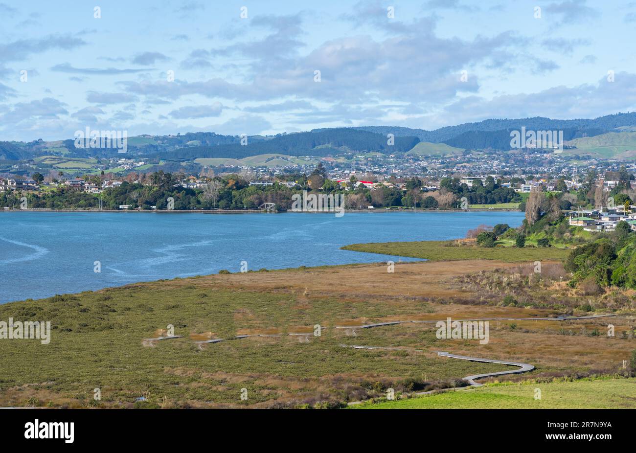 Winding boardwalk through wetland of Waikaereo Estuary Stock Photo - Alamy