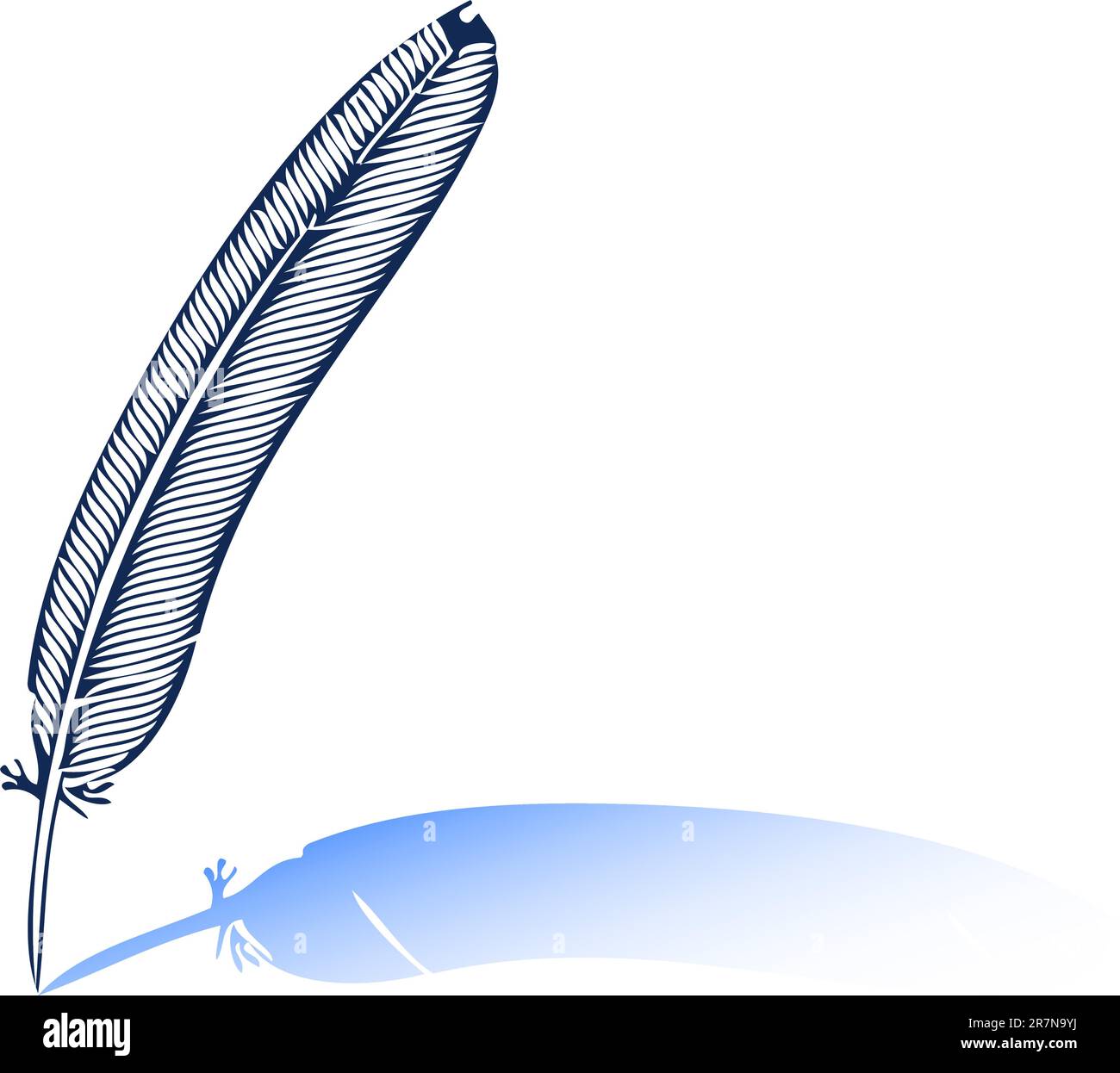 Blue feather - detailed illustration isolated on white Stock Vector ...