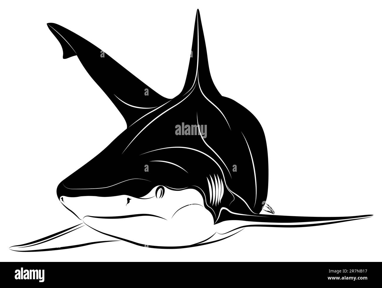 Shark shadow logo hi-res stock photography and images - Alamy