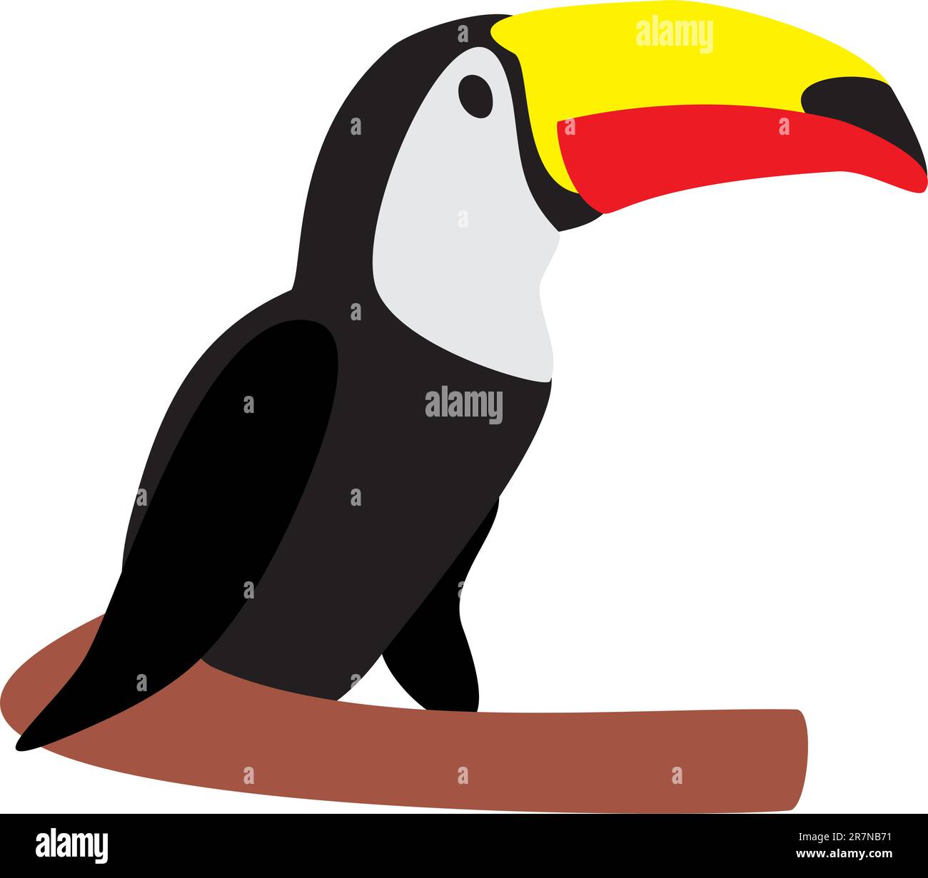 Beak of a bird Cut Out Stock Images & Pictures - Alamy