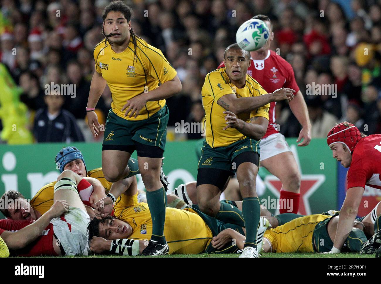 Australias will genia rugby world cup hi-res stock photography and ...