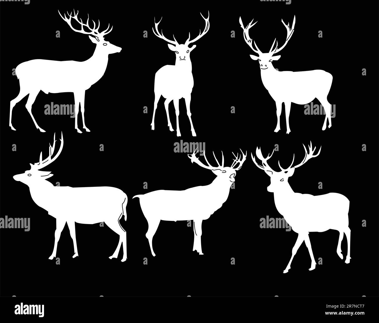 deer collection - vector Stock Vector Image & Art - Alamy