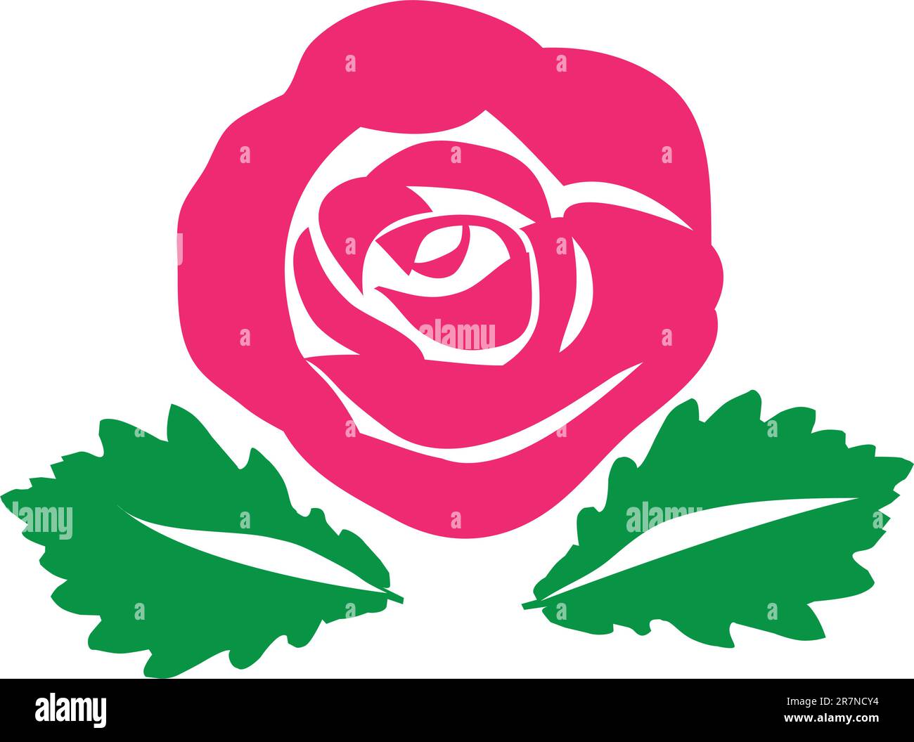 Vector illustration of a pink rose Stock Vector Image & Art - Alamy