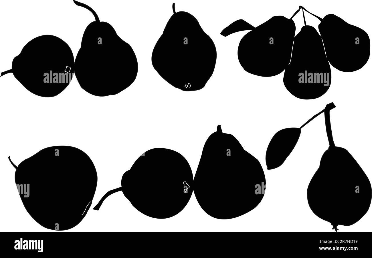 pears collection - vector Stock Vector Image & Art - Alamy