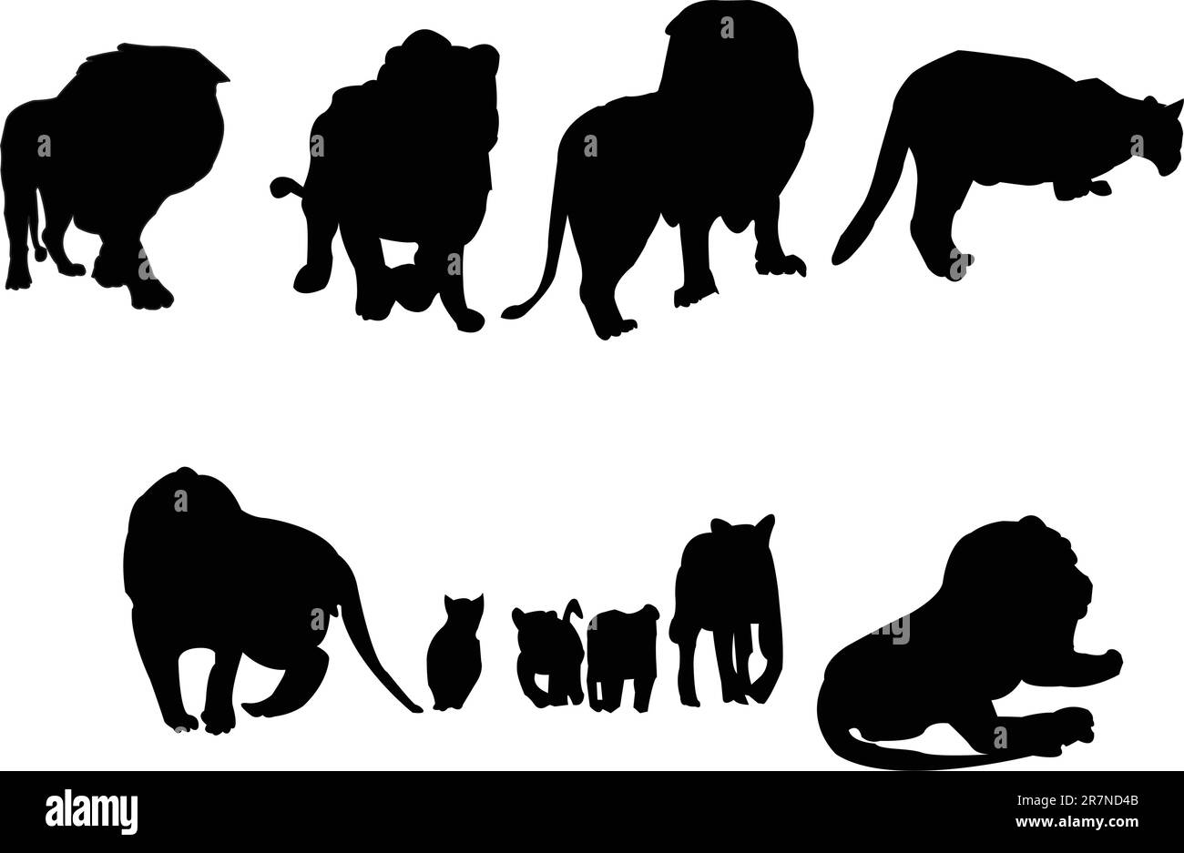 lions collection - vector Stock Vector Image & Art - Alamy