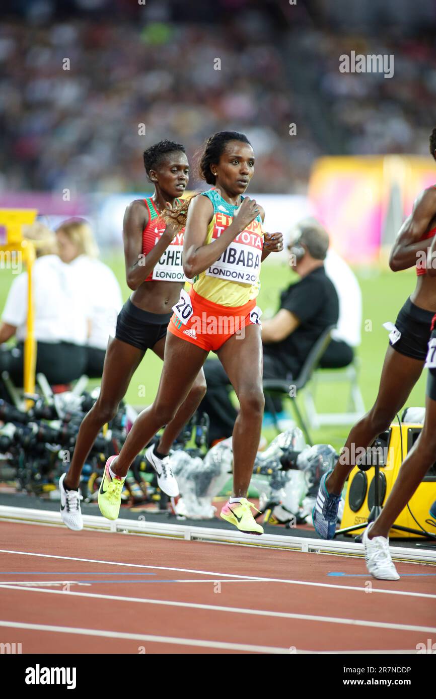 Tirunesh Dibaba participating in the 10.000m final at the World ...