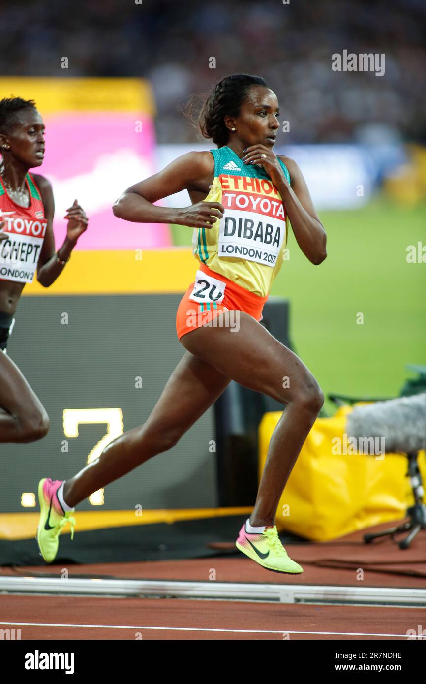 Tirunesh Dibaba participating in the 10.000m final at the World ...