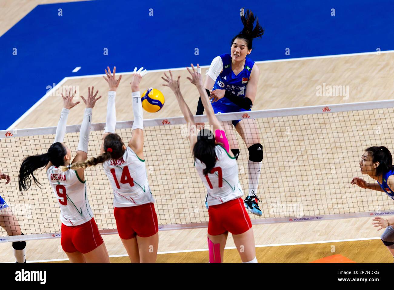 Yunlu hi-res stock photography and images - Alamy