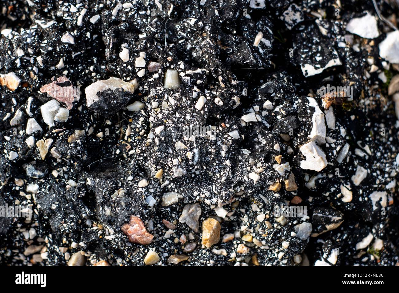 Image of soil with small rocks and gravel arranged to resemble a human ...