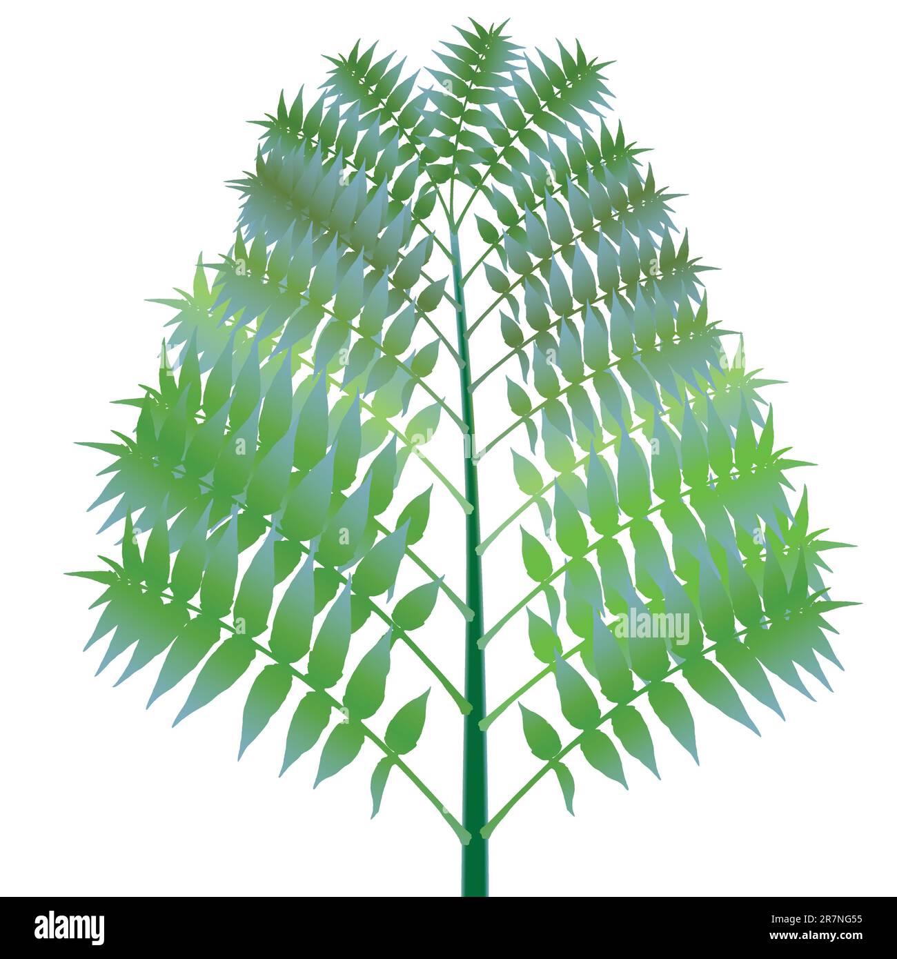 green bush against white background, abstract vector art illustration ...