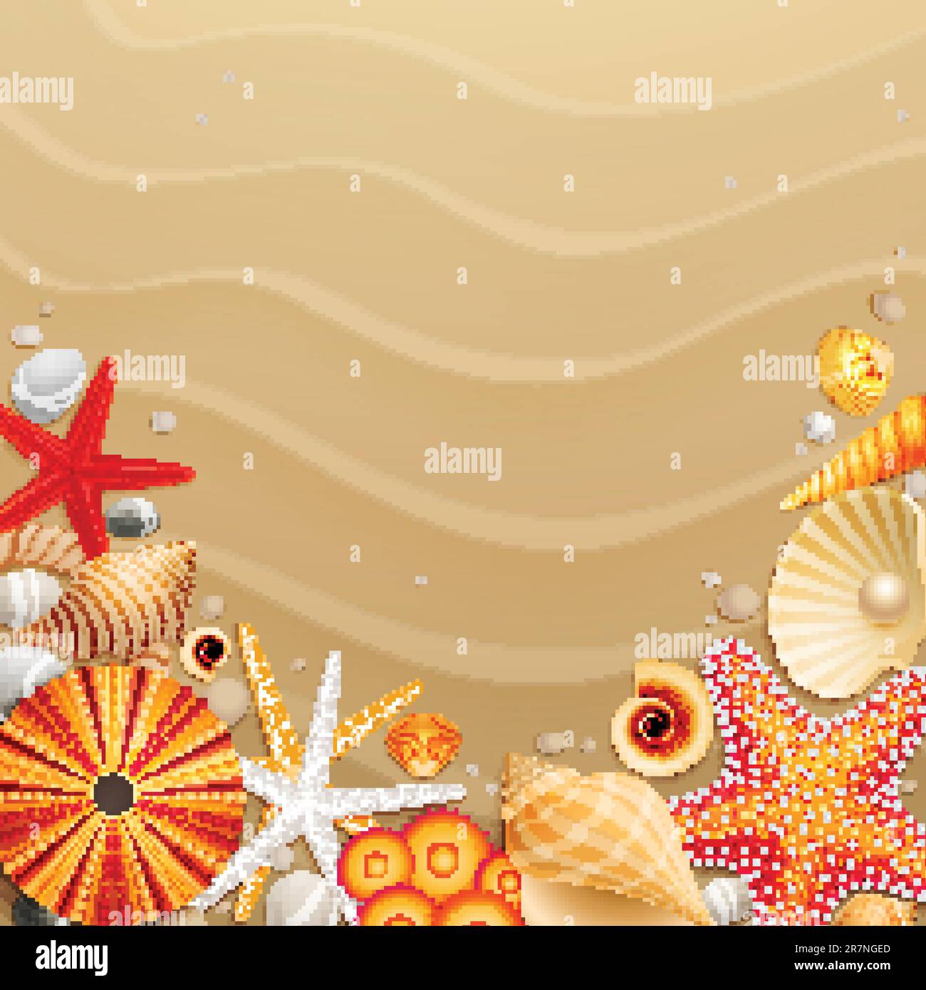 Shells and starfishes on sand background. Vector illustration Stock ...