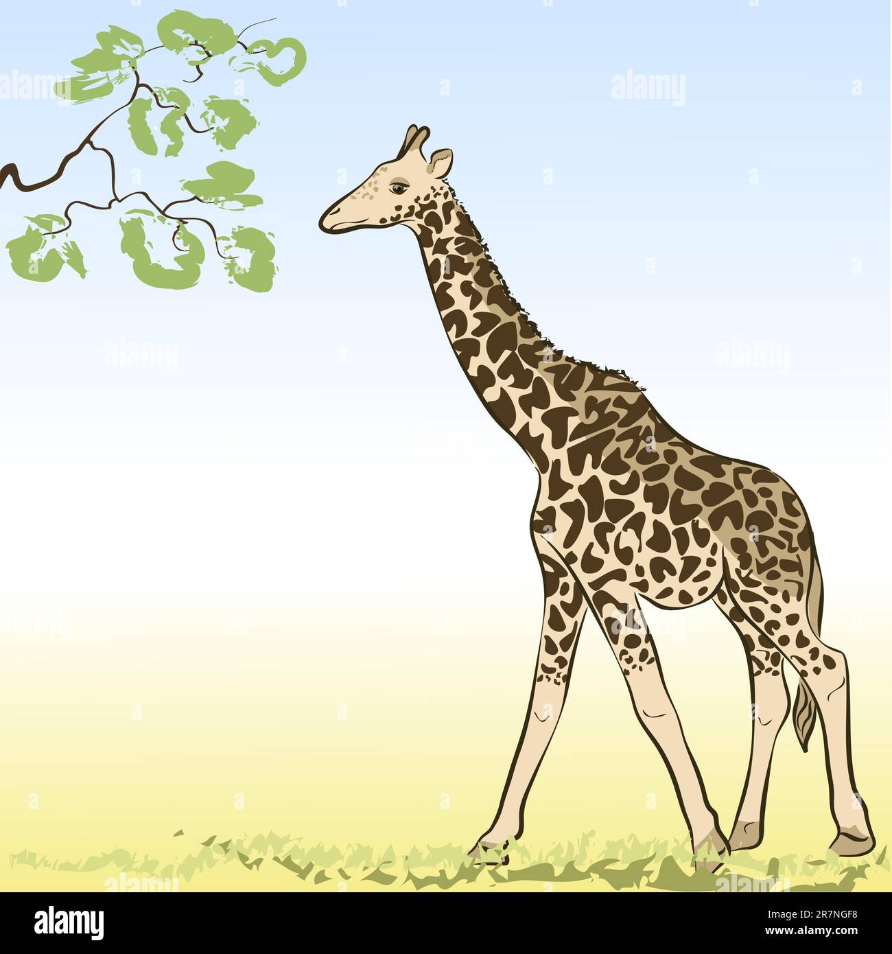 Giraffe. Vector Illustration Stock Vector Image & Art - Alamy
