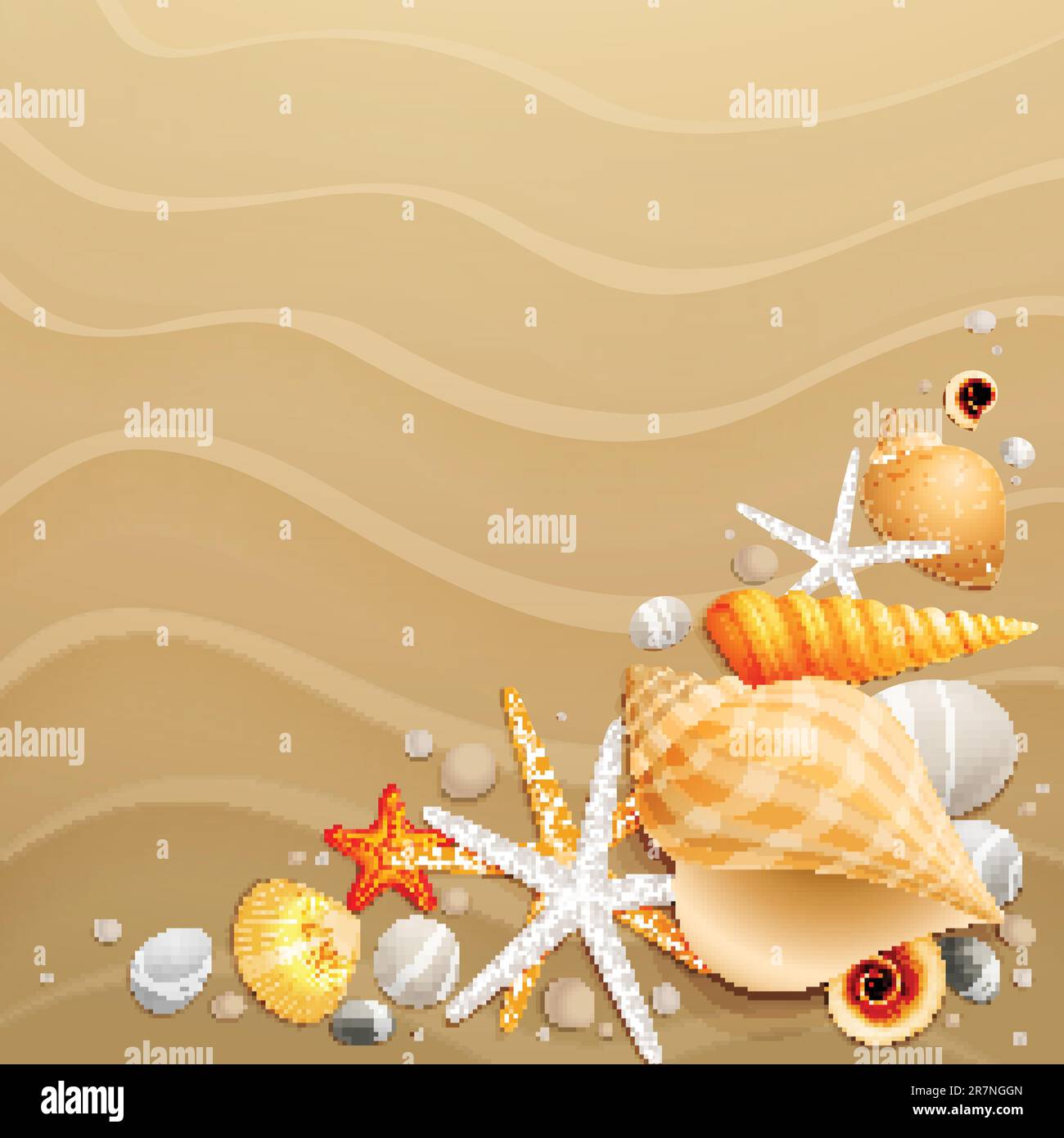 Shells and starfishes on sand background. Vector illustration Stock ...