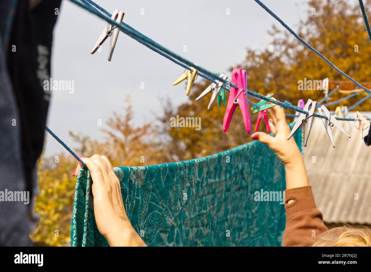 Laundry woman hangs clean wet cloth on clothes dryer after washing at ...