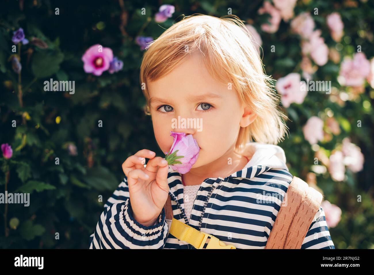 Outdoor portrait of adorable toddler girl smelling flower Stock Photo ...