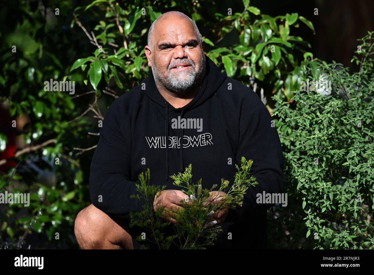 Sydney, Australia. 13th June, 2023. Co-founder of Wildflower Gardens ...