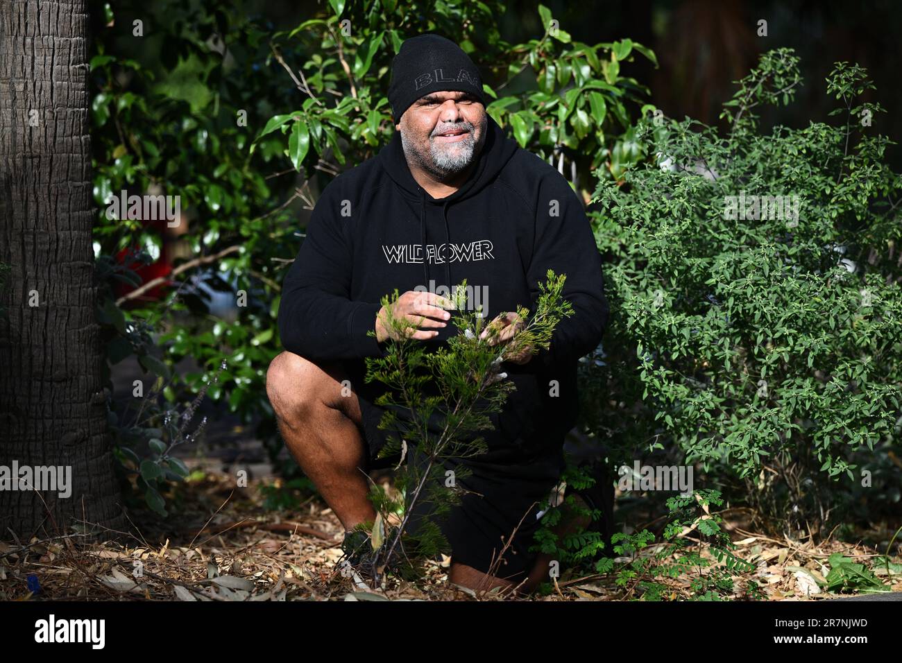 Sydney, Australia. 13th June, 2023. Co-founder of Wildflower Gardens ...