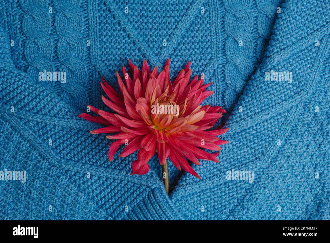 Pattern of colorful knitted sweaters closeup. Handmade merino wool ...