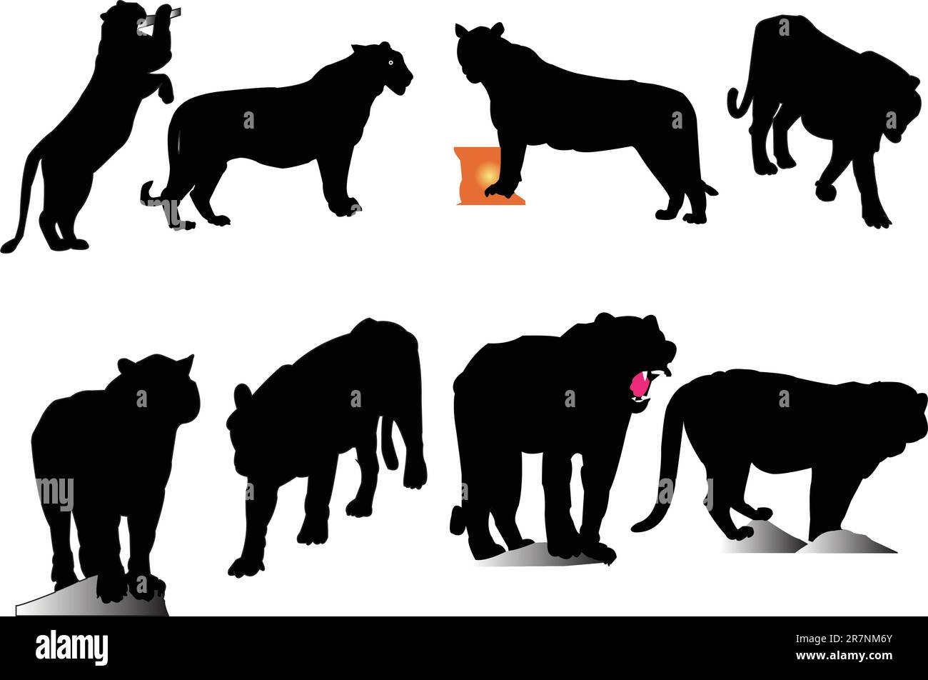 Bengal Tiger Collection Vector Stock Vector Image And Art Alamy