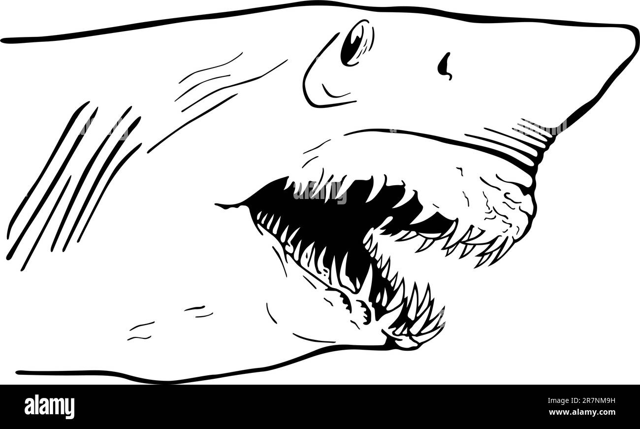 The monster study Stock Vector Images - Alamy