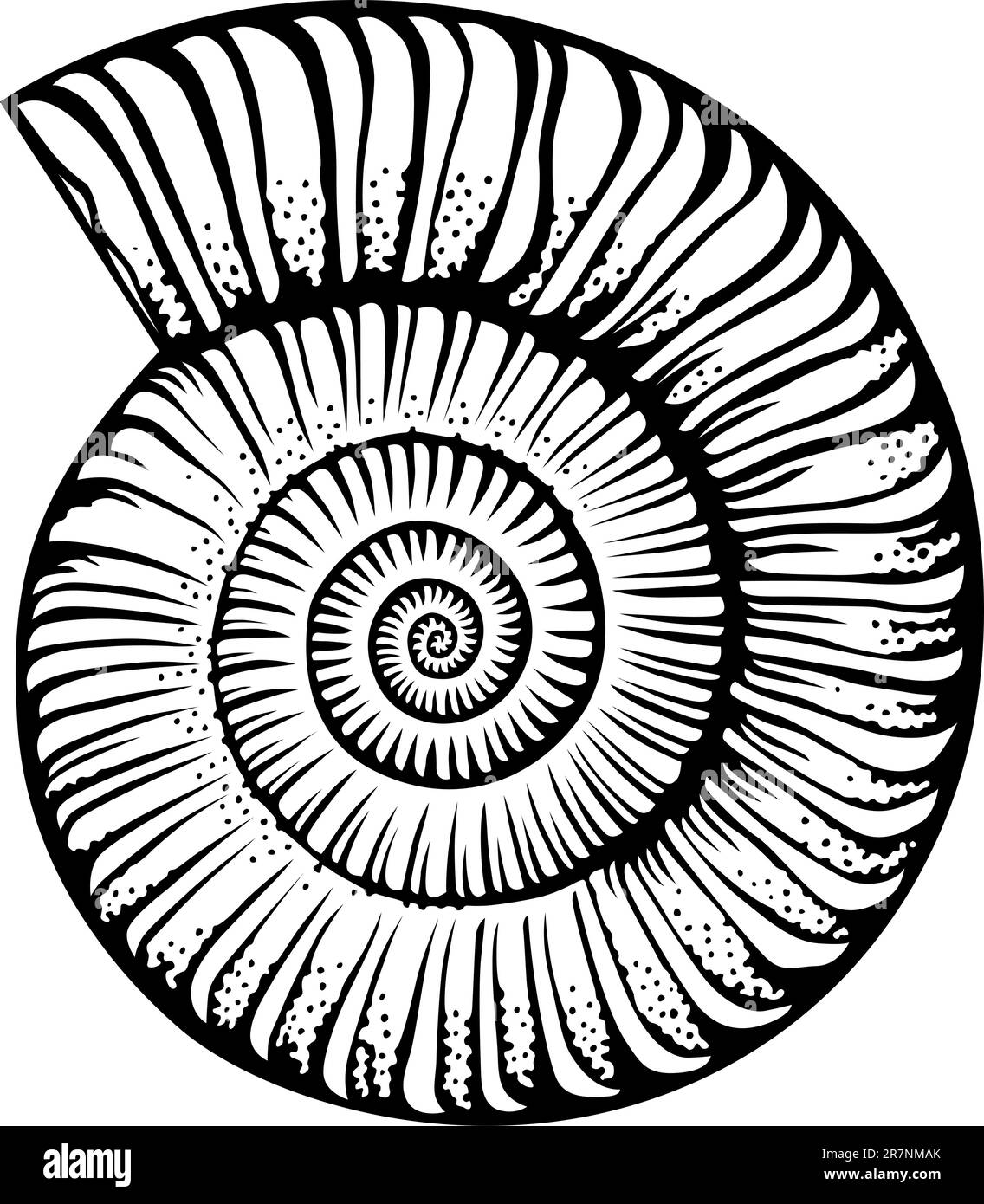 Seashell on sea beach Stock Vector Images - Alamy