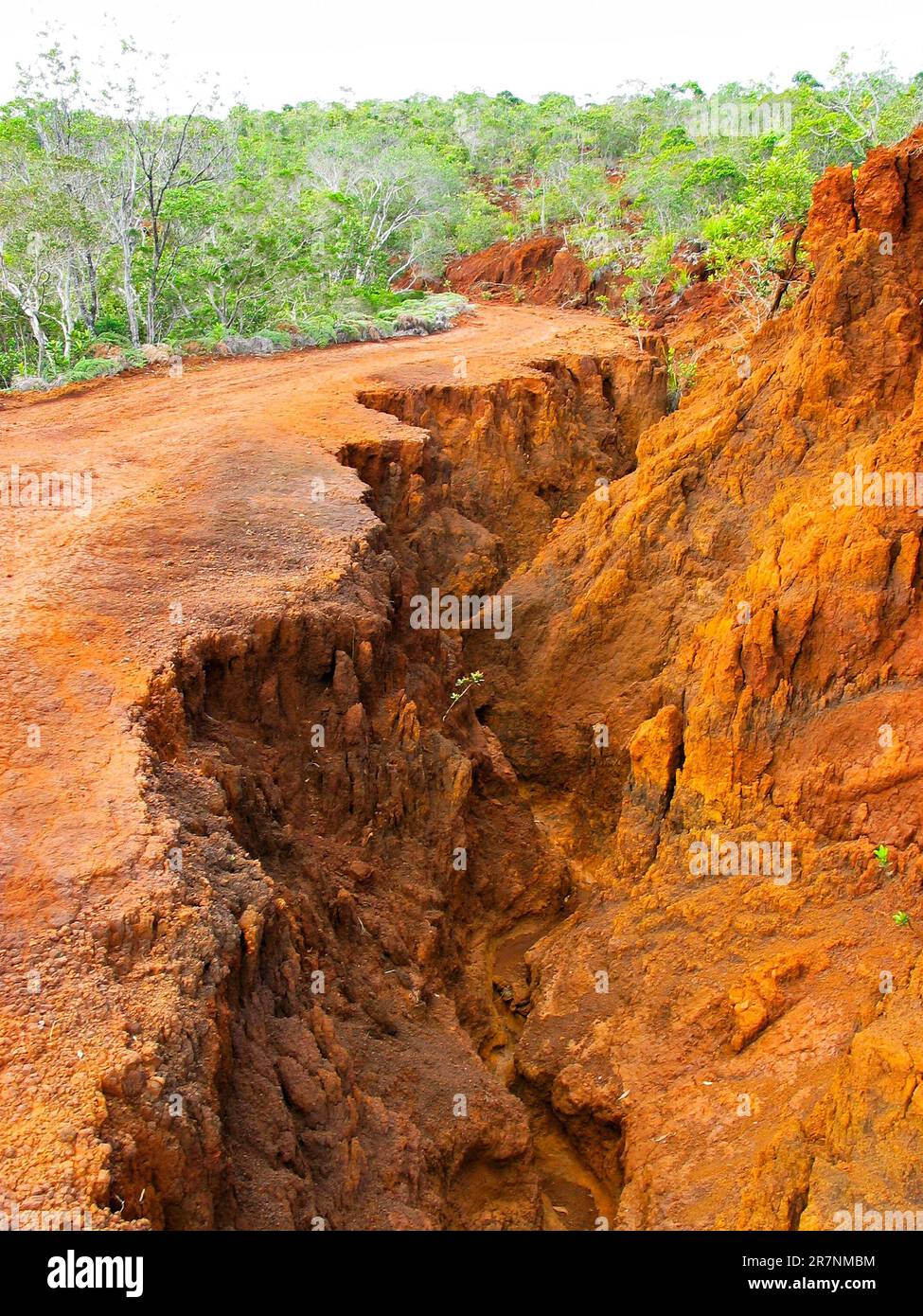 Mineral rich red soil, New Caledonia, Melanesia Stock Photo - Alamy