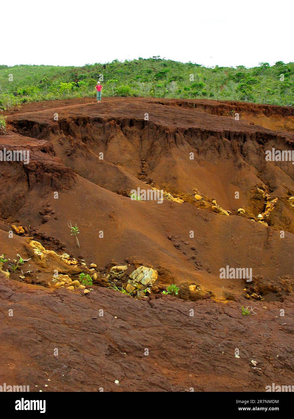 Iron ore rich red soil, New Caledonia, Melanesia Stock Photo - Alamy