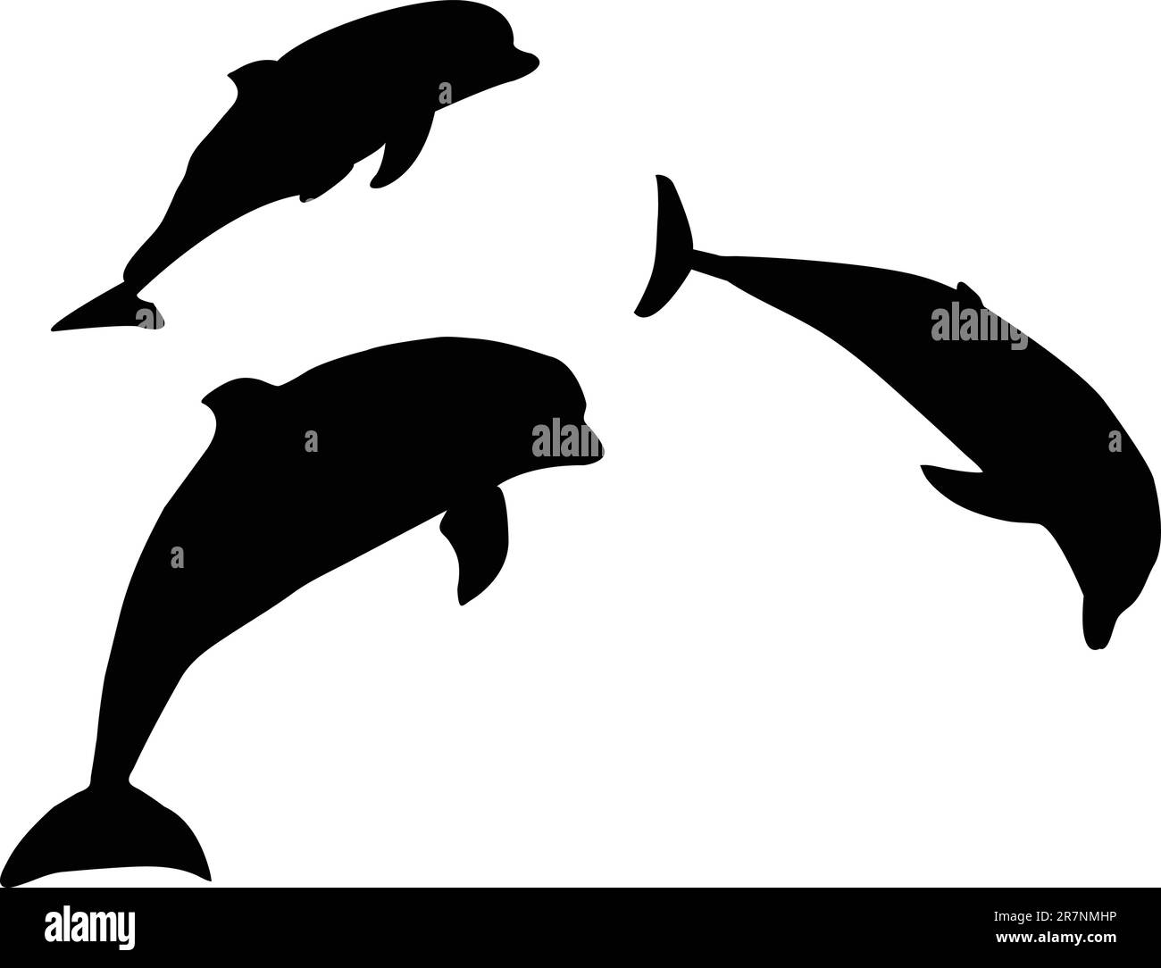 dolphins illustration collection - vector Stock Vector Image & Art - Alamy