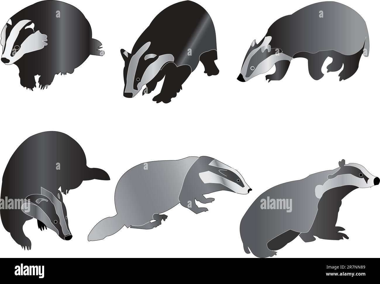badgers collection - vector Stock Vector Image & Art - Alamy
