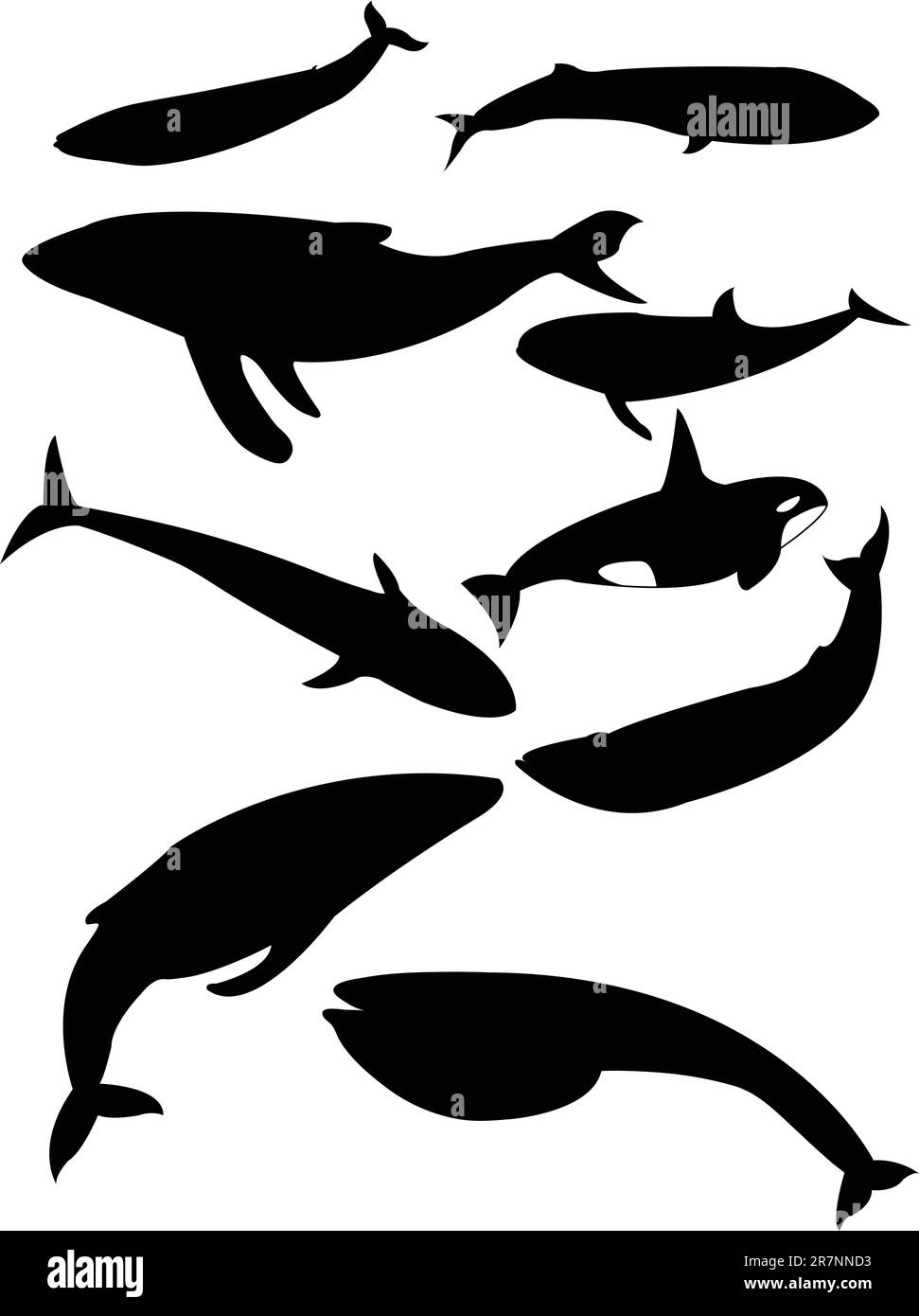 Landscape whale fish silhouette Stock Vector Images - Alamy