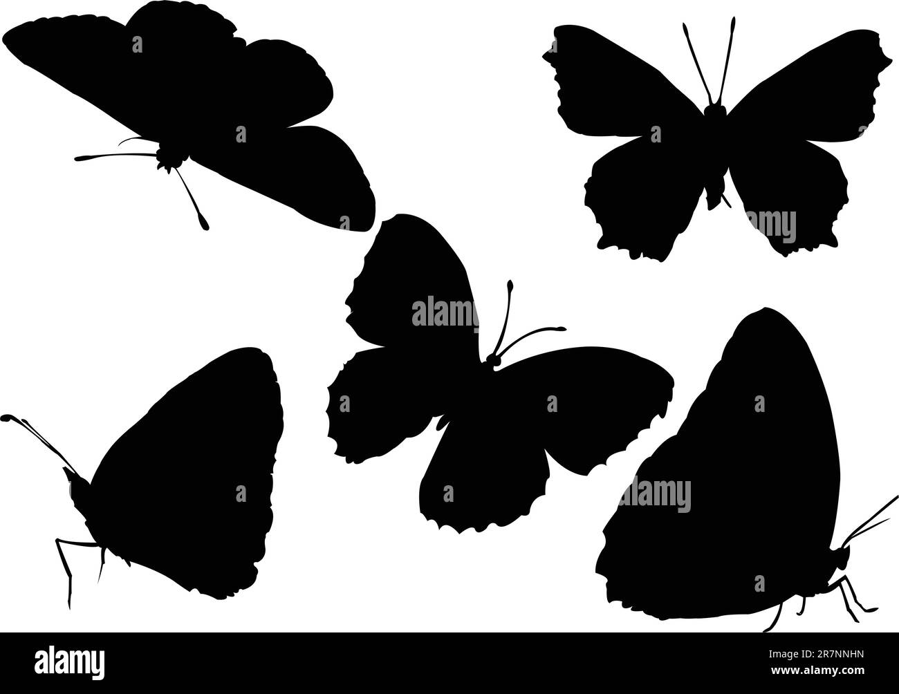 butterflies collection - vector Stock Vector Image & Art - Alamy