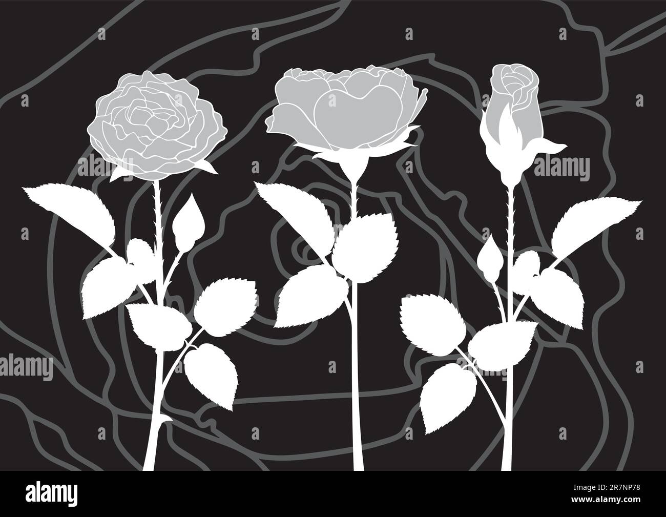 Black rose on dark Stock Vector Images - Alamy