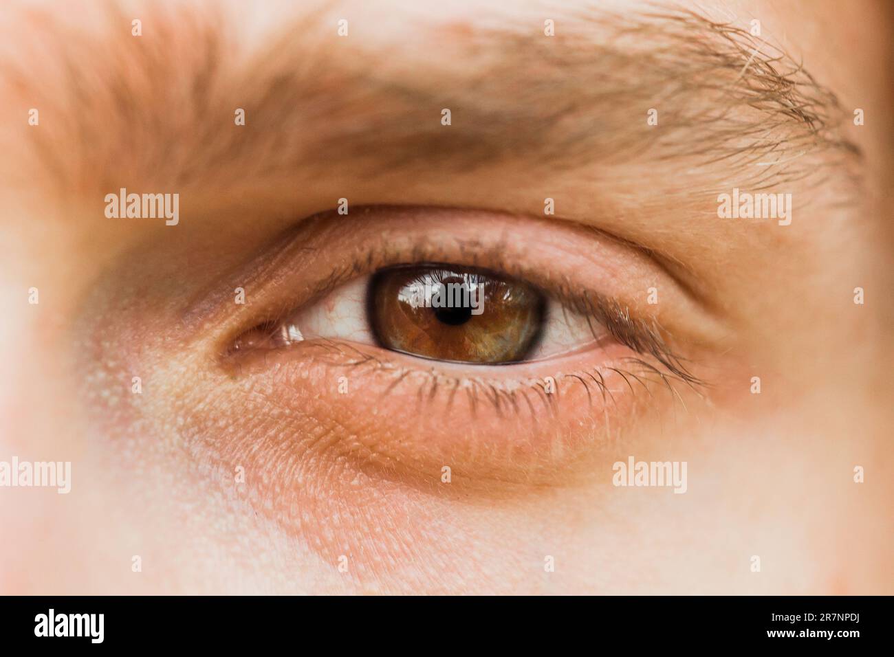 male eye close up. man looks into the frame. brown iris in macro Stock ...