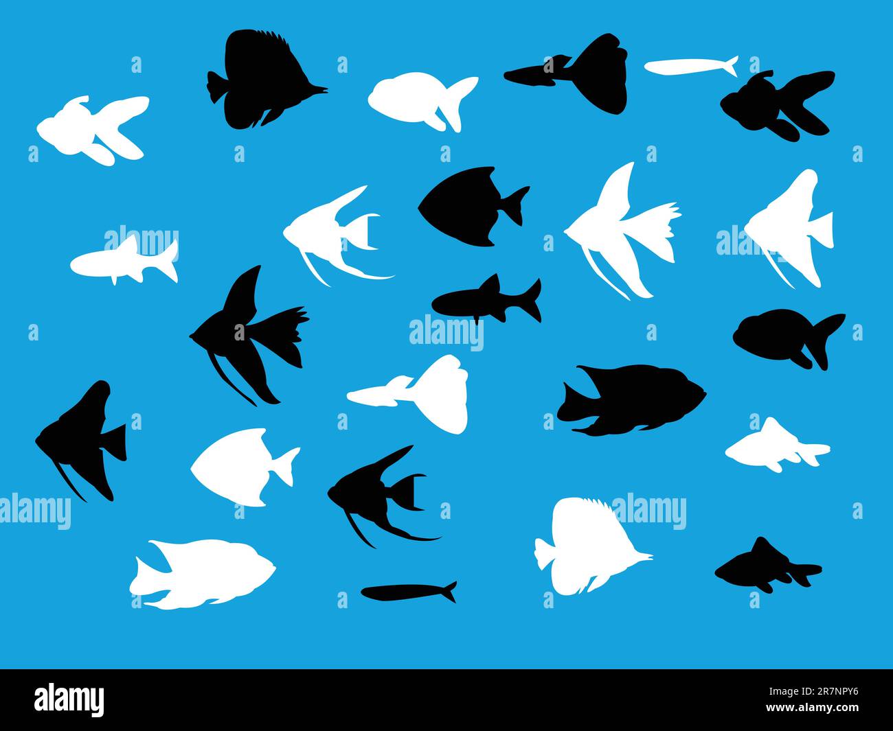 aquarium fish silhouette - vector Stock Vector Image & Art - Alamy