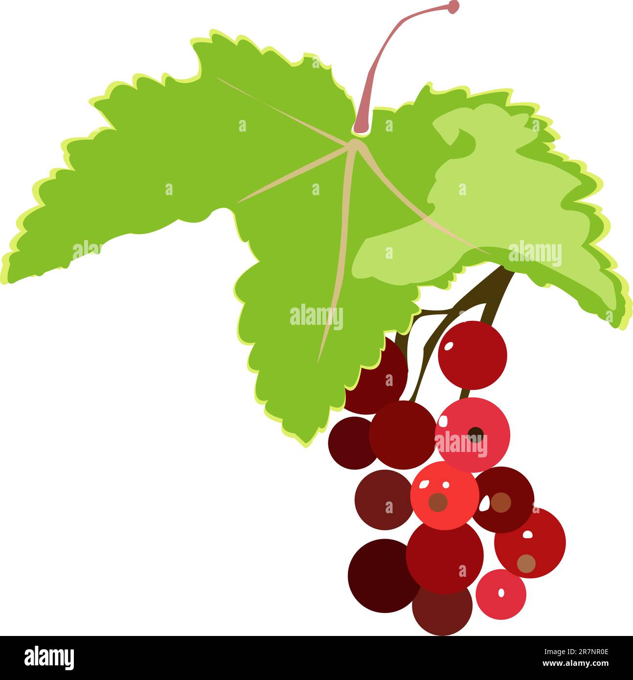 Luscious garden Stock Vector Images - Alamy