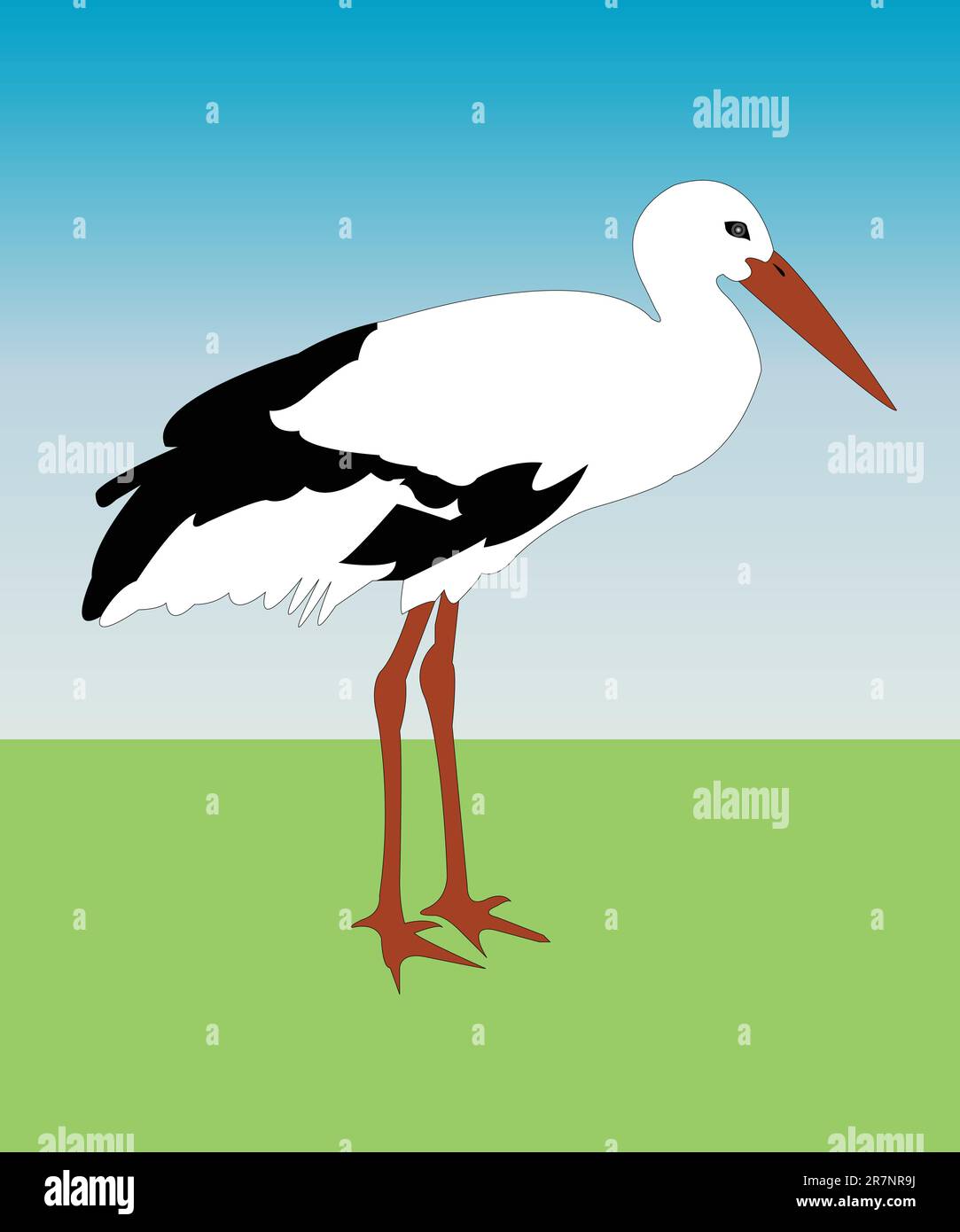 Illustration of stork - vector Stock Vector Image & Art - Alamy