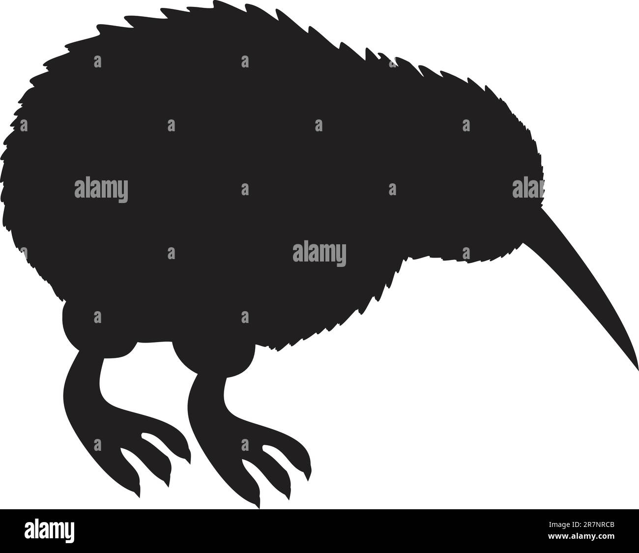 Dark black kiwi bird silhouette Stock Vector Image & Art - Alamy