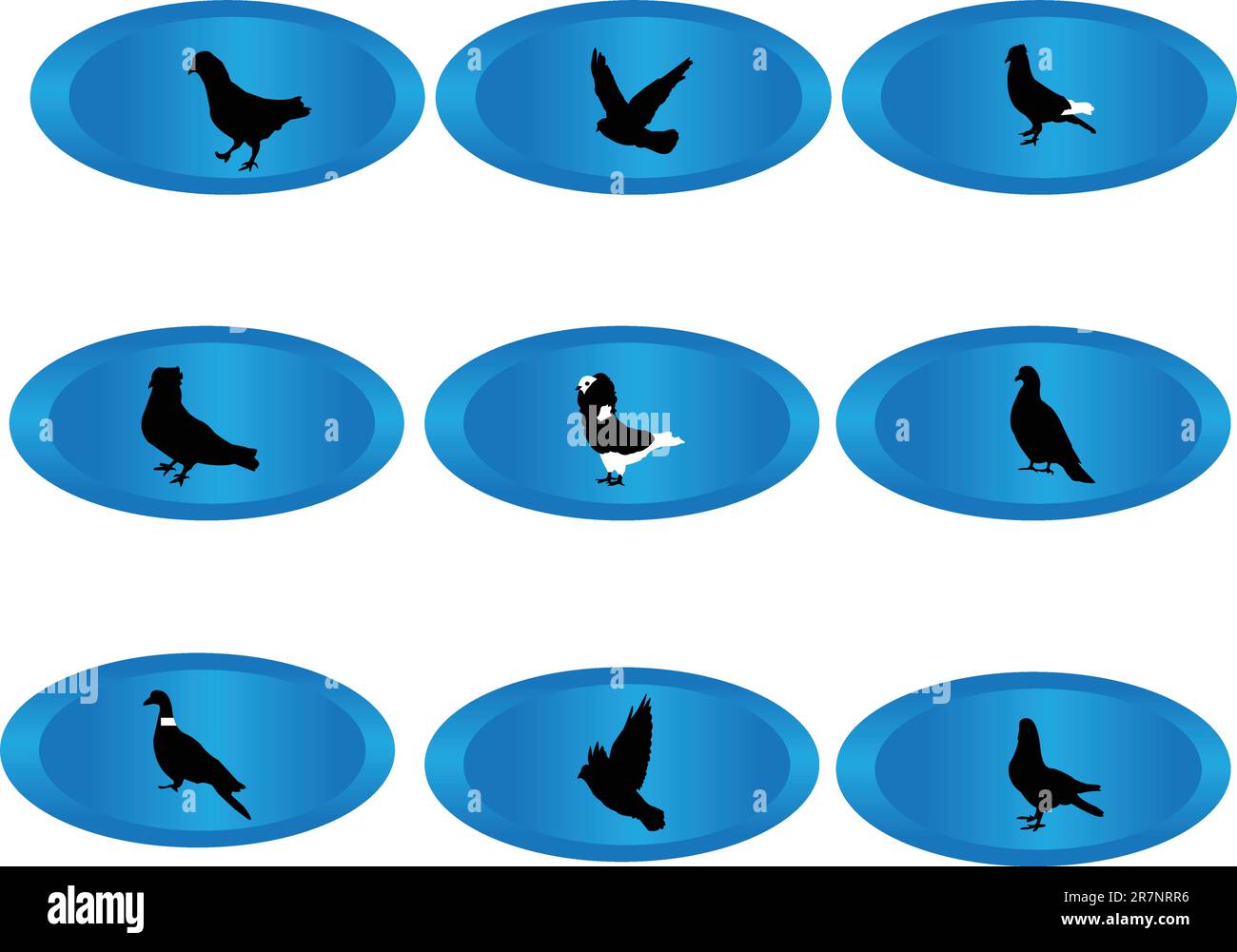 pigeons illustration collection - vector Stock Vector Image & Art - Alamy