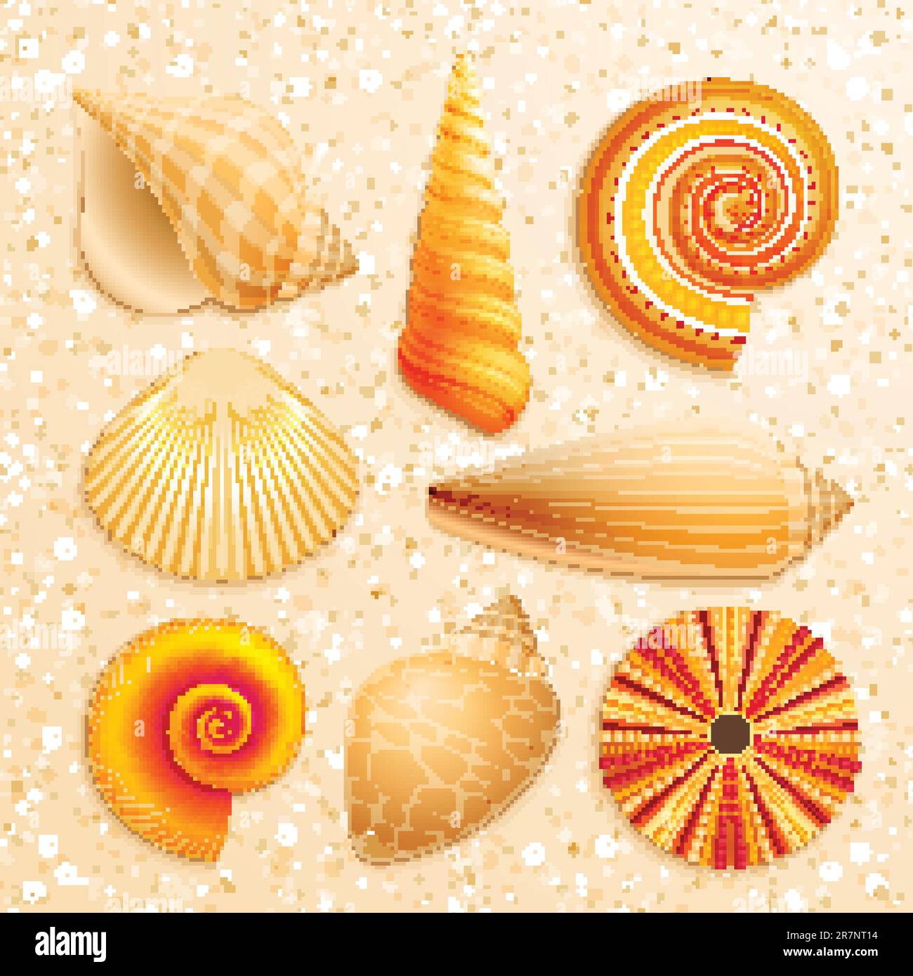 Seashell collection on sand background. Vector illustration Stock ...
