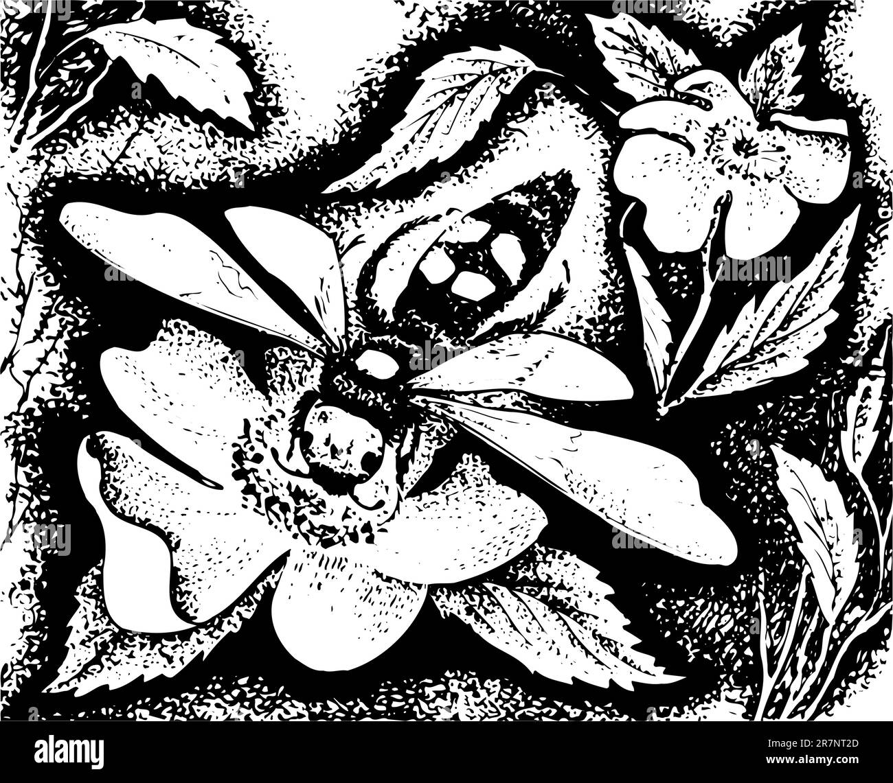 Bee and color Black and White Stock Photos & Images - Alamy