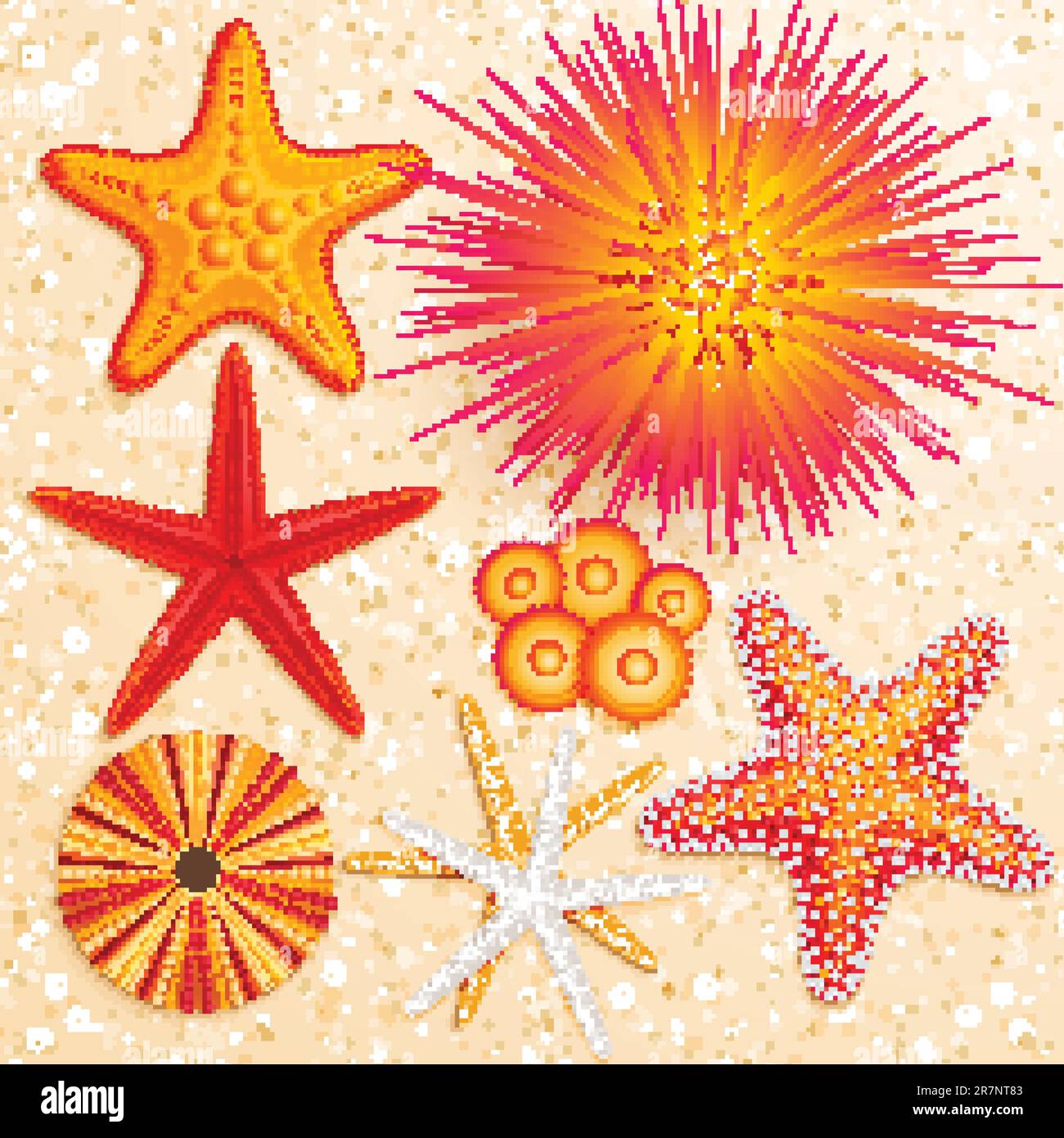Starfish and sea urchins collection on sand background. Vector ...